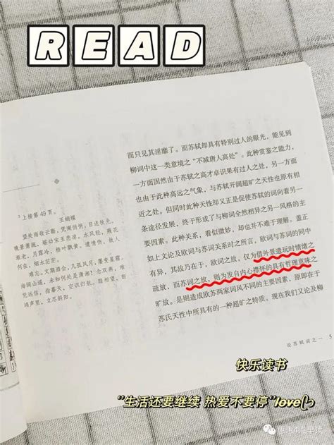 不用著急出成果認真關注做內容葉嘉瑩論蘇軾詞 每日頭條