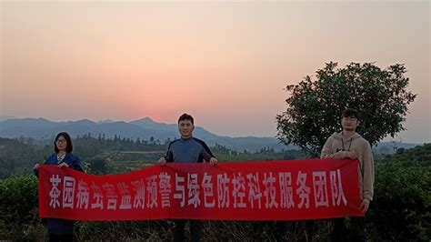 茶园病虫害监测预警与绿色防控科技服务团队和科技特派员开展科技服务 信阳农林学院农学院