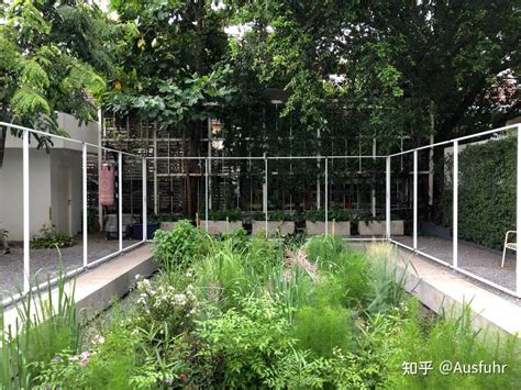 设计灵感｜景观设计｜口袋公园 治疗花园 知乎