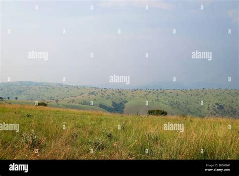 Rwanda Akagera National Park Stock Photo Alamy