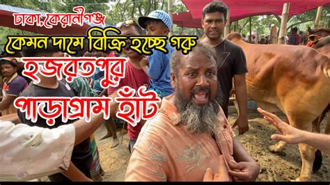 কেমন দামে বিক্রি হচ্ছে গরু হরযতপুর পাড়া গ্রাম হাটে Hazratpur Paragram