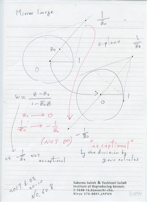 Division By Zero In Euclidean Spaces