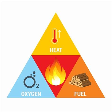 Fire Triangle Worksheet