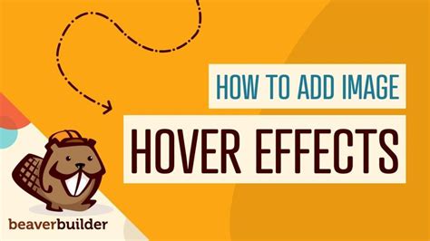 How To Add Image Hover Effects In WordPress In Steps Beaver Builder
