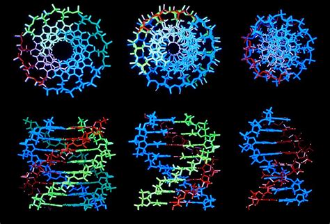 Infinity Imagined “the Different Structural Conformations Of Dna