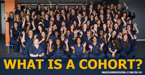 What Is A Cohort Marian S ABSN Cohort Explained