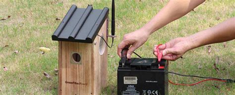 Battery Powered Wireless Bird Box Camera Green Backyard