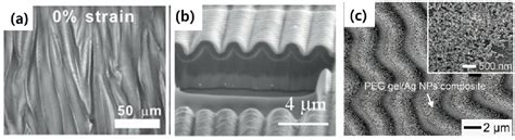 A Wrinkle Electrode Based On Pdms And Cu 26 B Wrinkle Electrode