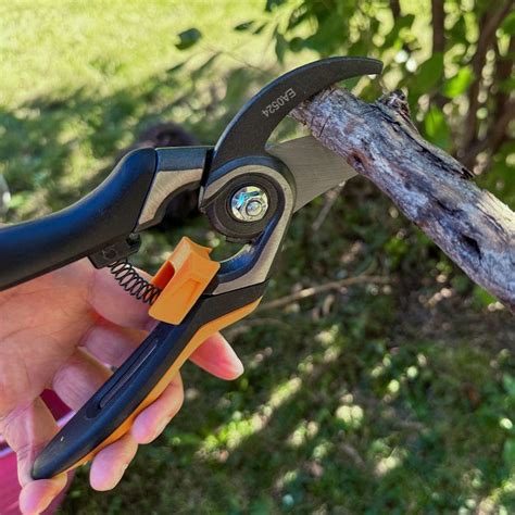 7 Best Pruning Shears Of 2025 Tested By Experts