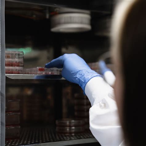 London Health Sciences Foundation On Linkedin Didyouknow