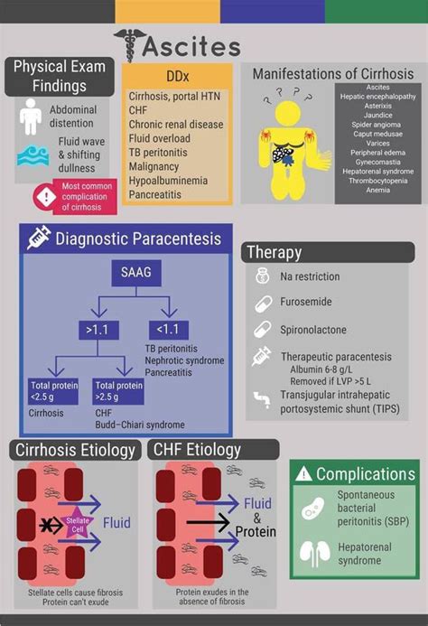 Ascites Medizzy