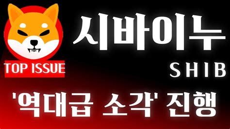 『시바이누』4월 역대급 소각 진행 예정 발표 빨리 준비해야될듯 시바이누 시바이누코인 코인 코인전망 비트코인