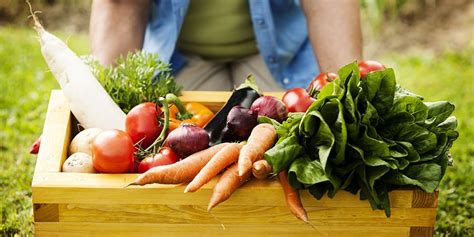 Qual A Diferença Entre Legumes E Verduras Blog Condor