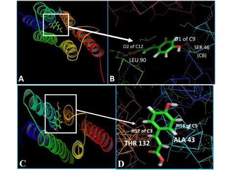 Structure Quality Assessment Of S Aureus A B And E Coli C D