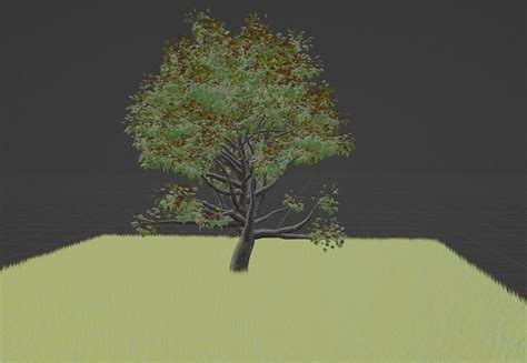 Realistic Tree 3d Model In Middle Of Field 3d Model Cgtrader