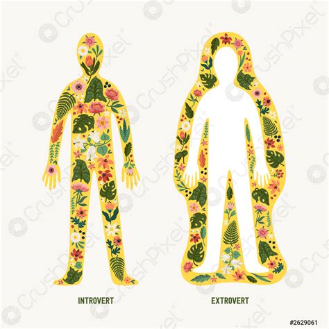 Extrovert And Introvert Extraversion And Introversion Concept Silhouettes Of Two Stock