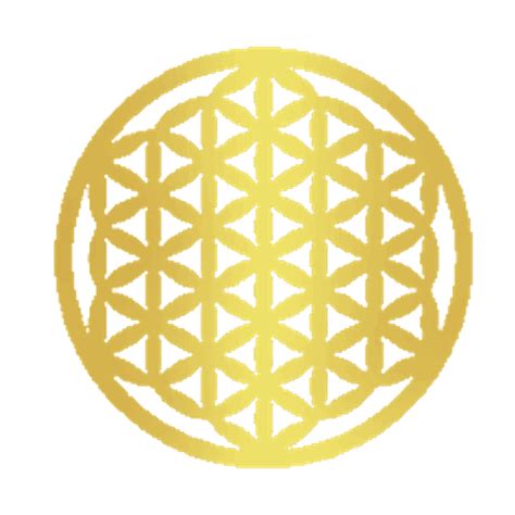 Social Conscience Vs Socially Conscious Whats The Real Difference