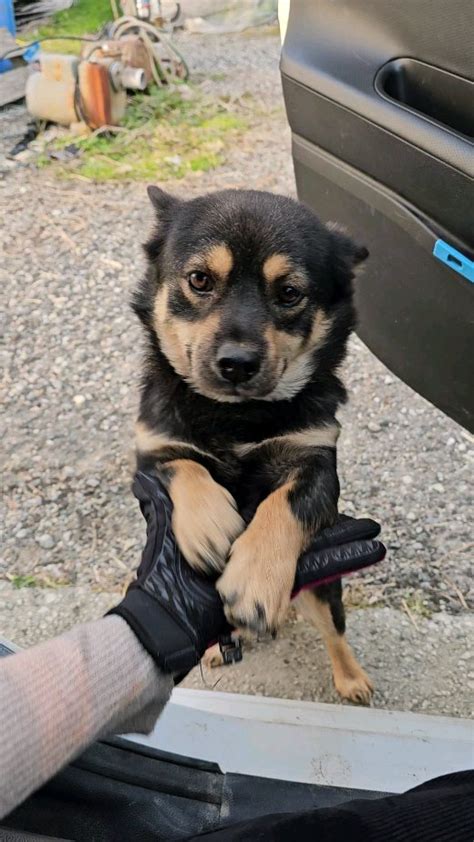 깜순이네 딸기 🍓 논산 딸기 설향 킹스베리 Comesooni Stbr • Instagram Photos And Videos