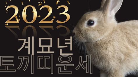 2023 계묘년 토끼띠운세 소원신당 Youtube