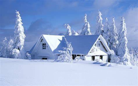 небо природа Trees Winter Оформление Windows 7 8 10 темы