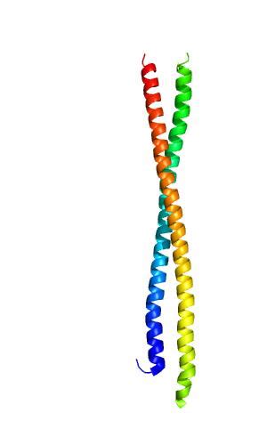Vimentin Vhh Recombinant Binding Protein Proteintech