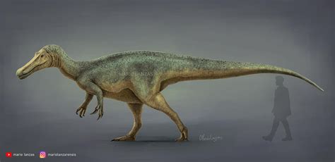 Baryonyx 2021 By Mariolanzas On Deviantart