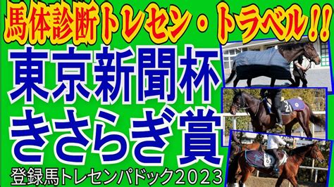 いざ馬体診断の旅へ 【東京新聞杯gⅢ】・【きさらぎ賞gⅢ】 出走馬確定トレセンパドック2024 Youtube