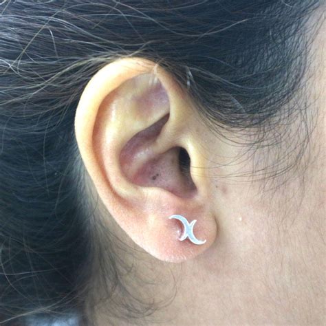 Silver Bisexual Moon Stud Earrings Lgbt Pride Jewelry Etsy