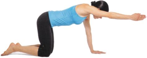 Back Stabilization Exercises Book For Home Exercise Program