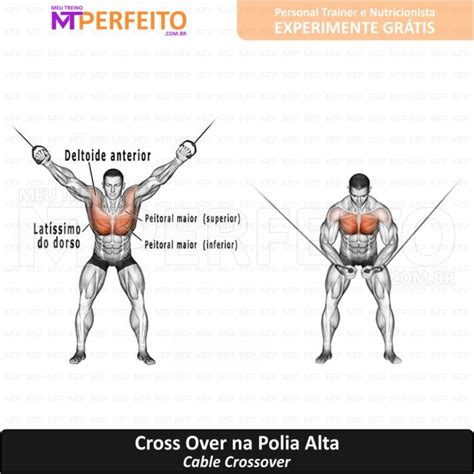 Treino De Peito Na Polia Retoedu