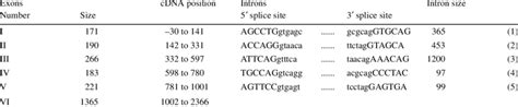 Sizes And Locations Of Exons And Introns And Sequences At The Download Table