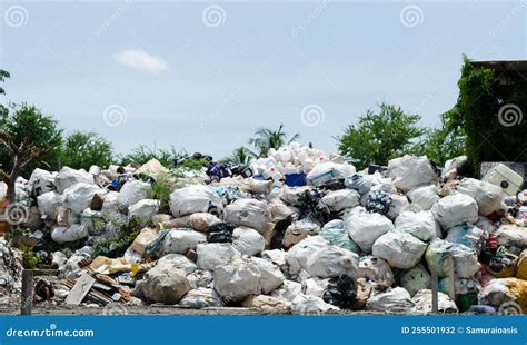 Waste Plastic And Other Types Of Plastic Waste Stock Photo Image Of Garbage Rubbish 255501932