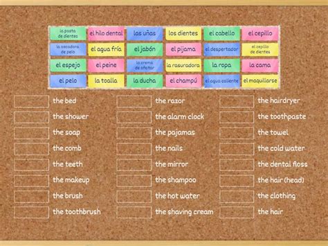 La Rutina Diaria Vocabulario Match Up