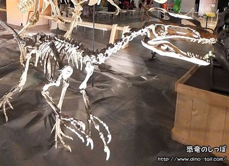 Guanlong Dino Tail Encyclopedia
