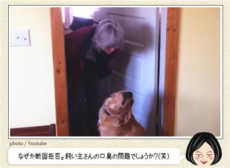 キスは断固拒否する犬、飼い主にツレナイ可愛すぎるワンコたち 時遊zine
