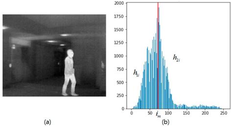 Algorithms Special Issue Algorithms In Hyperspectral Data Analysis