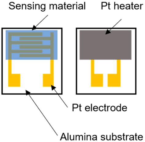 The Schematic Illustration Of The Sensor Device Download Scientific Diagram