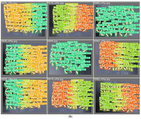 multi barley seed detection using iphone images and yolov5 model