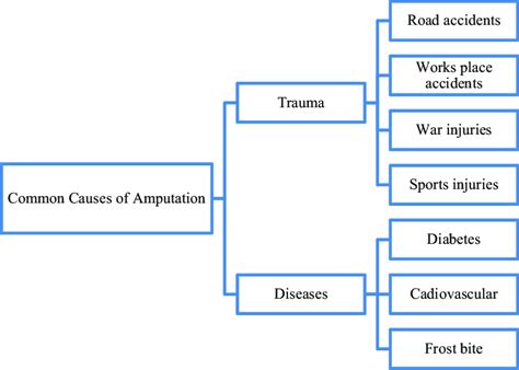 Common Causes Of Amputation Download Scientific Diagram
