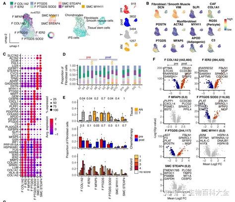 文献解读｜食管癌的单细胞转录景观及其对新辅助化疗的调控 知乎
