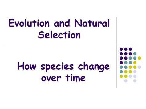 Ppt Evolution And Natural Selection Powerpoint Presentation Free