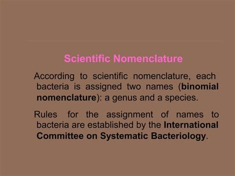 Microbial Taxonomy2 Pdf
