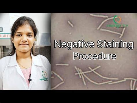 Negative Staining Microbiology।staining Procedure।negative Staining