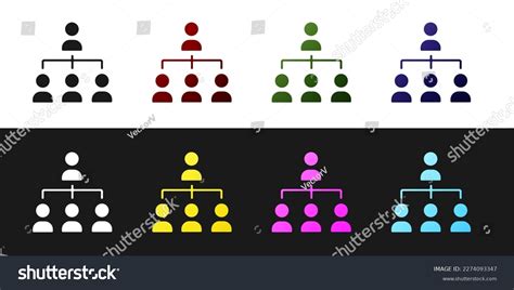 Set Business Hierarchy Organogram Chart Infographics Stock Vector Royalty Free