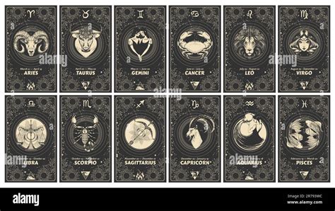 Set Of 12 Astrology Cards With Zodiac Signs Horoscope Tarot Fortune Teller Vintage Engraving