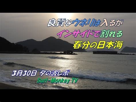 良質なウネリは入るがインサイドで割れる春分の日本海 240330 夕方 サーフモンキーTV YouTube