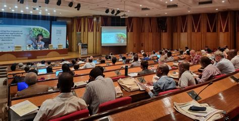 Spia Fest 2024 Roundup Of The Evidence From The 2019 2024 Spia Workplan Cgiar
