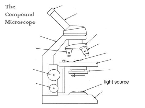 Simple Compound Microscope Drawing