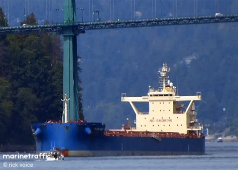 Ship Marina I Bulk Carrier Registered In Marshall Is Vessel Details