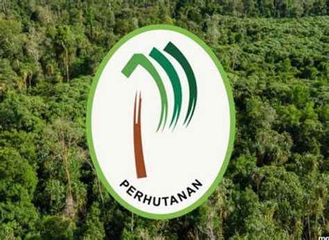 Dusun Musang King Viral Dalam Hutan Simpan Kekal Hsk Hulu Gombak